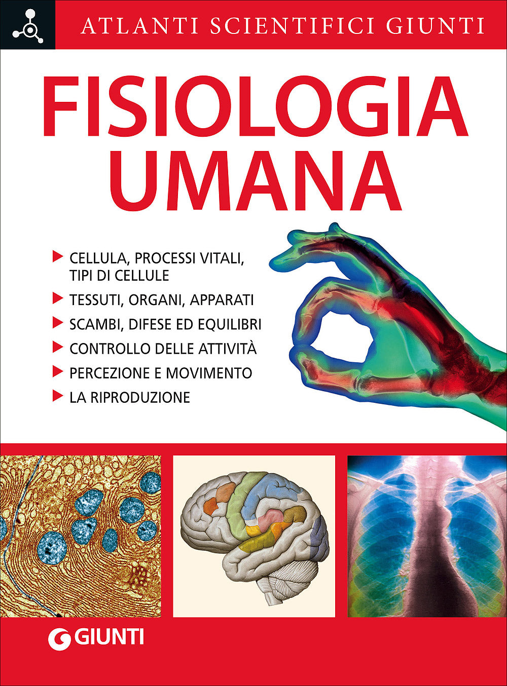 Fisiologia umana | Adriana Rigutti | Giunti Editore